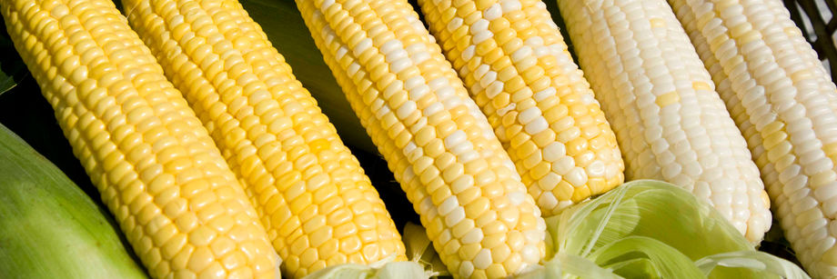 Corn