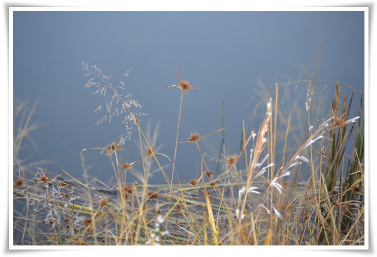 LIVING LIFE TO THE MAX: OUR AFRICAN SAFARI: "SHIBULA" Day 5 (FINAL DAY ...