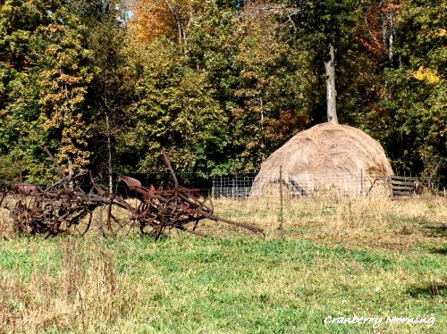 Cranberry Morning: Amish in Wisconsin