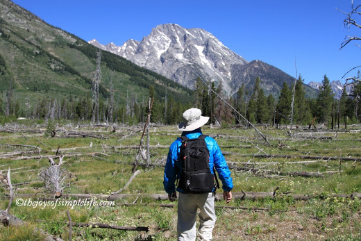 The Joys of Simple Life: String Lake Trailhead to Hidden Falls and ...