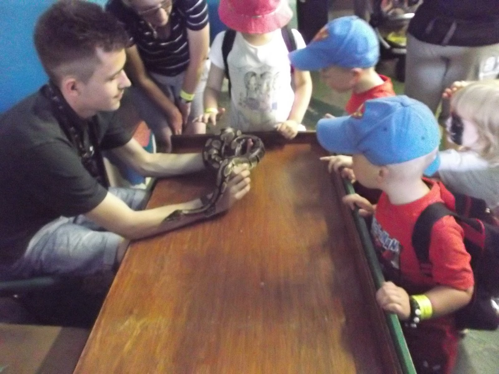 Chickywiggle's Blogspot: White Post Farm, Farnsfield, Nottingham