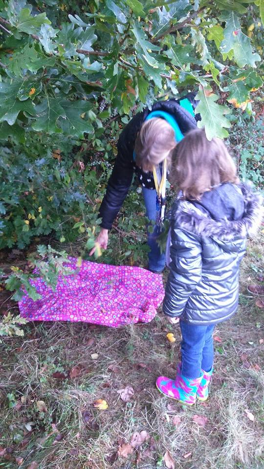 Tweede leerjaar: Boris de bostrol 2C