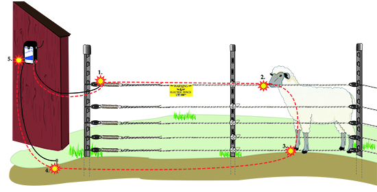 Premier Farm Diary: Electric fence basics: Conductivity