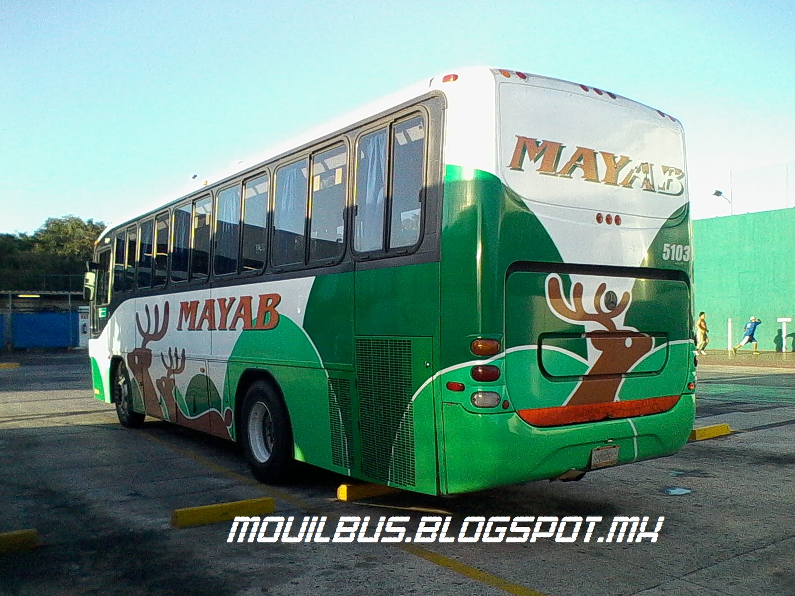 MARCOPOLO ALLEGRO MAYAB