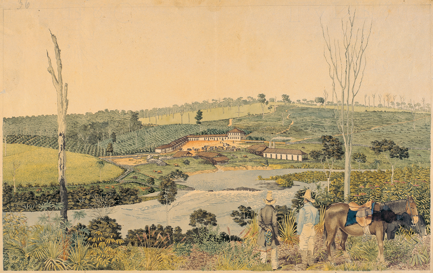 Semióticas: Imagens do Oitocentos