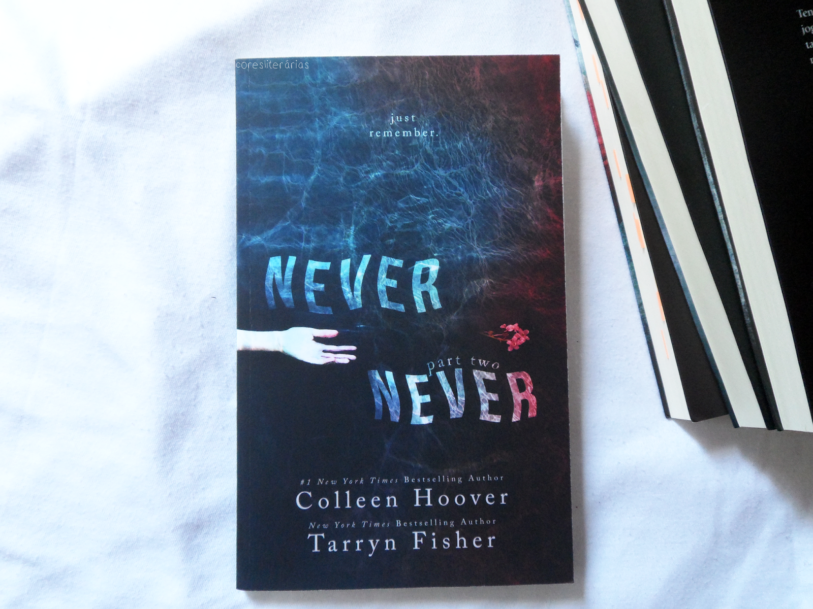 Nunca Jamais (Never Never) Parte #1 #2 e #3 | Cores Literárias