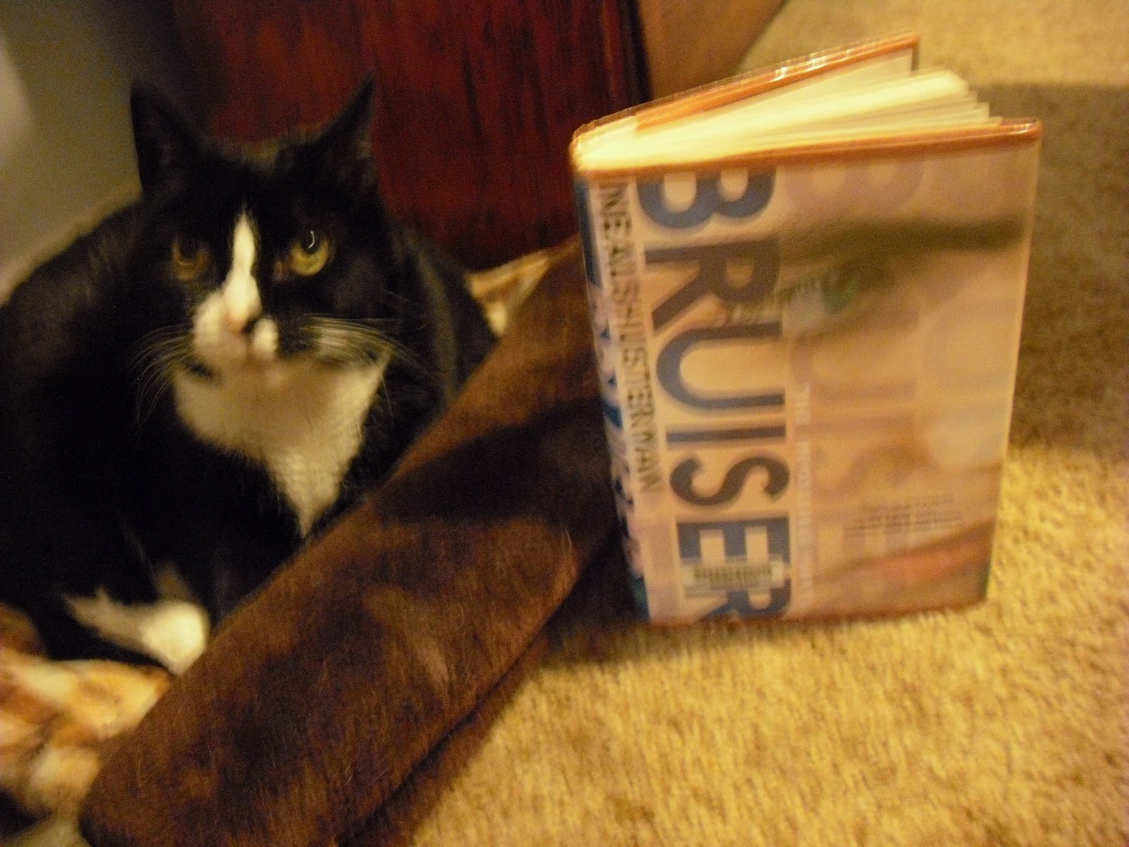 Grab A Book From Our Stack: "Bruiser" by Neal Schusterman