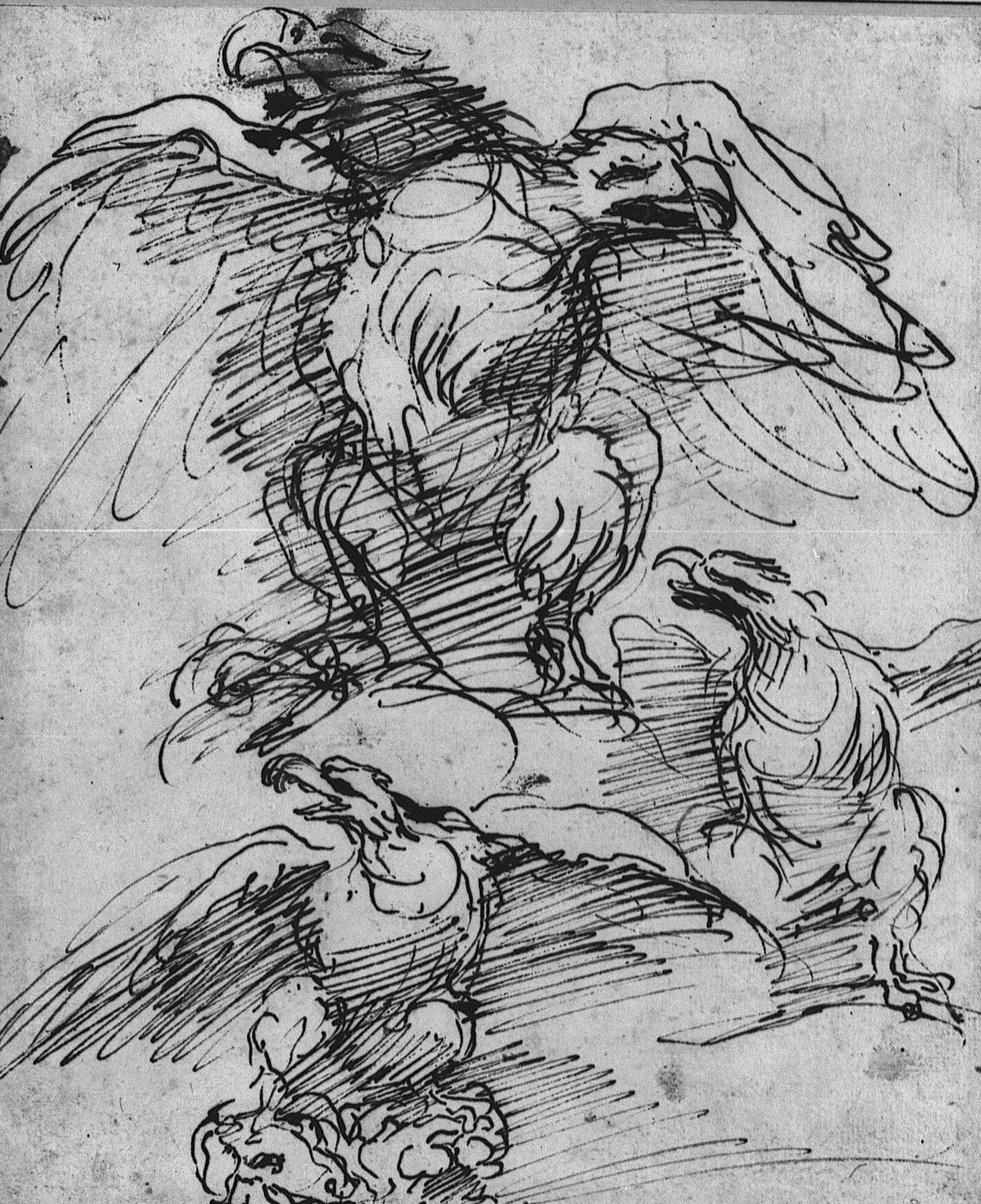 Spencer Alley: Carracci Collective