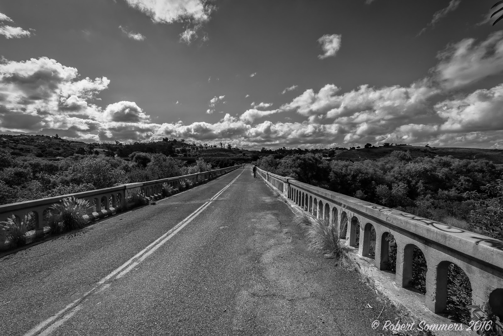 Blue Heron Blast: Old Bonsall Bridge