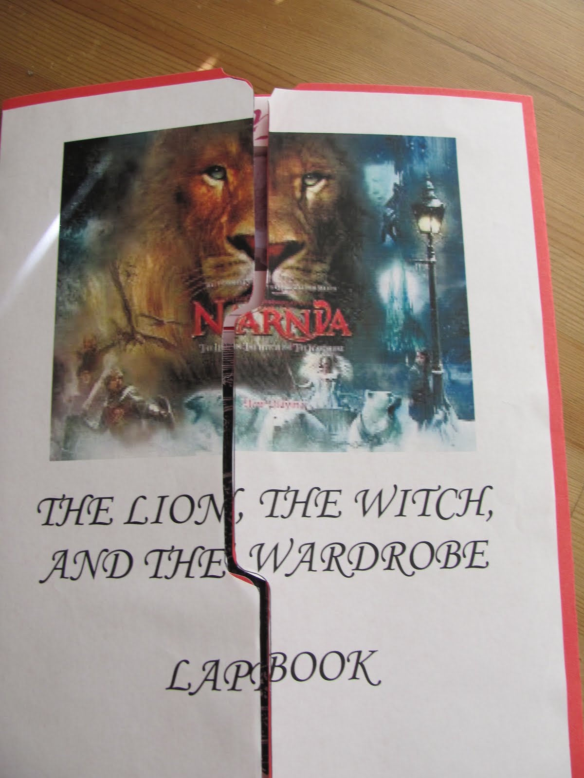 Life In The Unknown: The Lion, The Witch and The Wardrobe