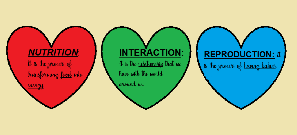 ENGLISH&SCIENCE: THE VITAL FUNCTIONS OF LIVING THINGS: