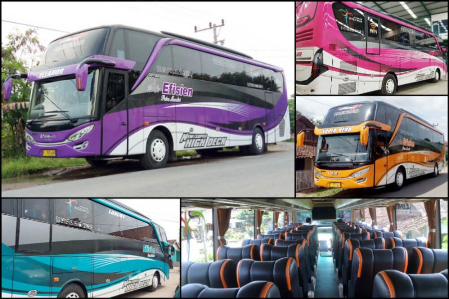 CV.BIMA NUSANTARA TOUR & TRAVEL PRINGSEWU: BUS PARIWISATA