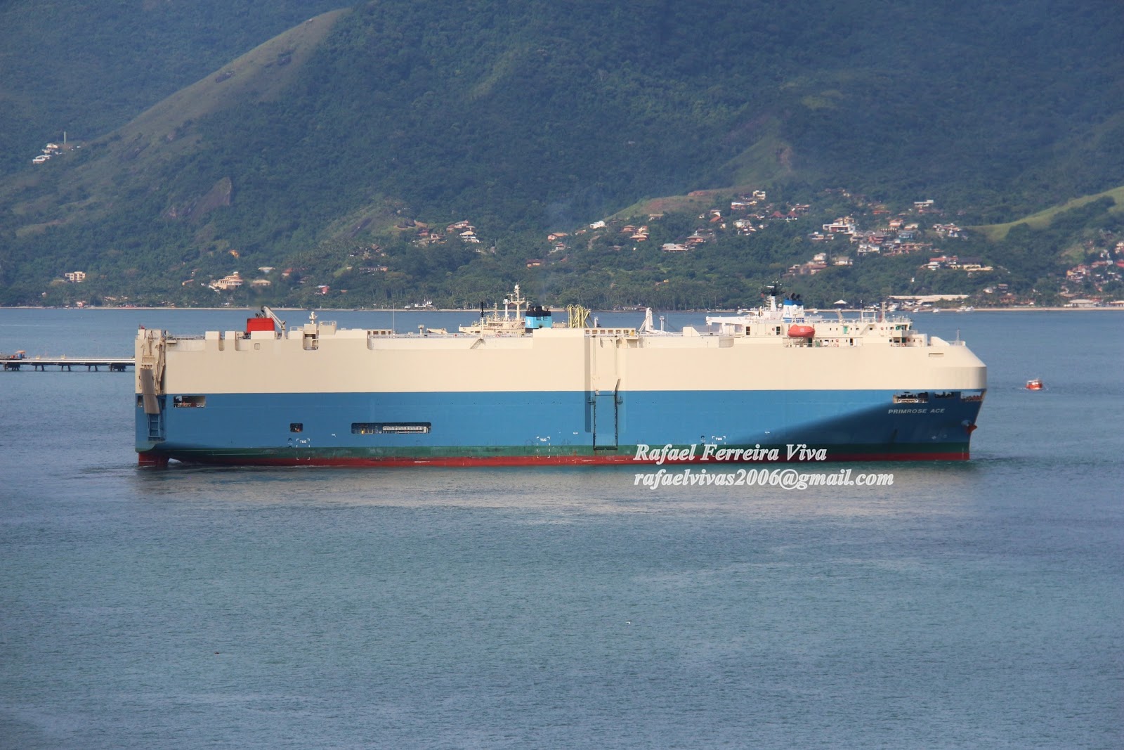 Navios em Santos: Primrose Ace