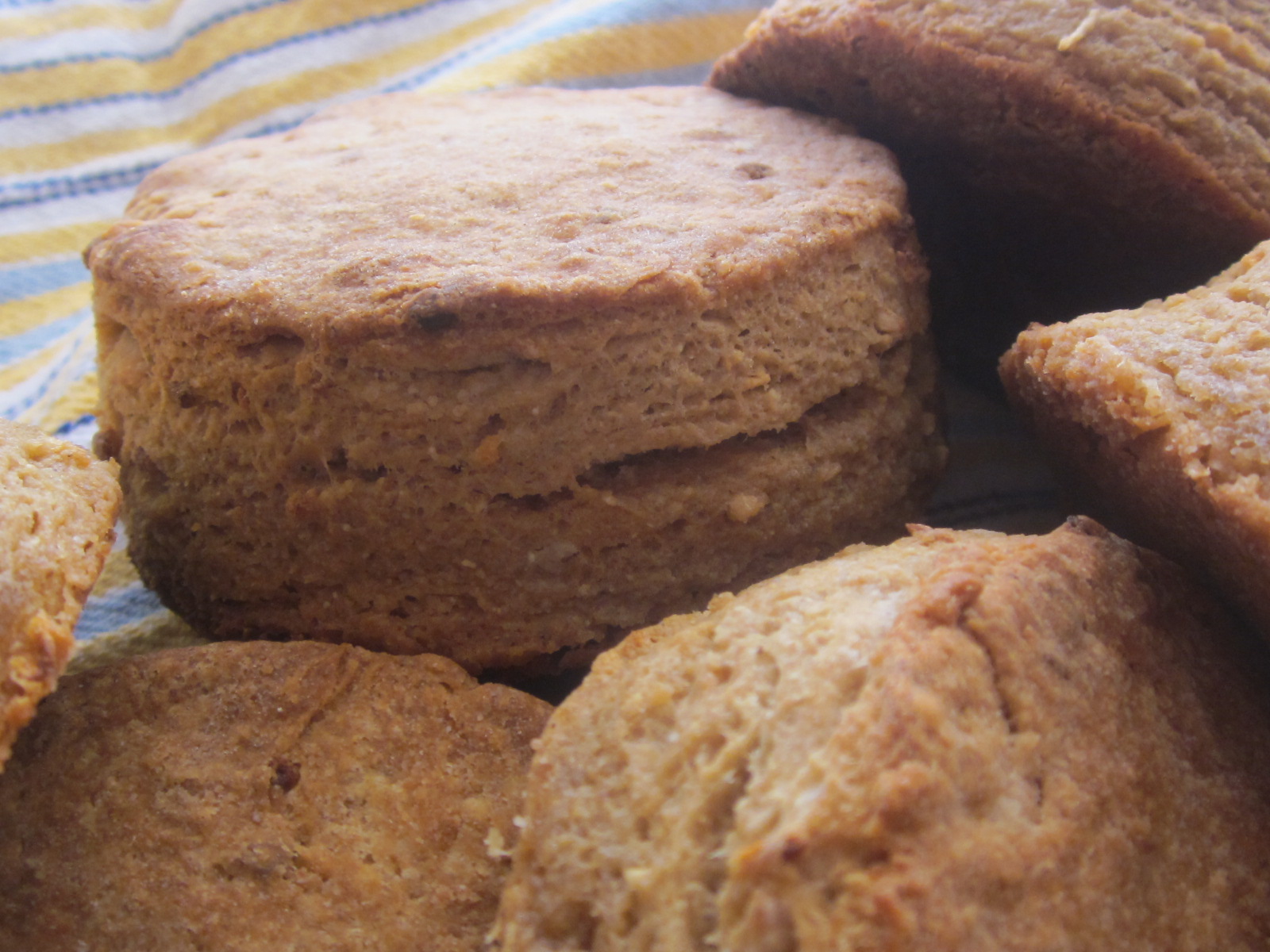 Chef Tess Bakeresse: Savory Flaky Onion Rye Biscuits