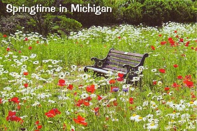 Postcards And Road Trips: Springtime in Michigan Postcard