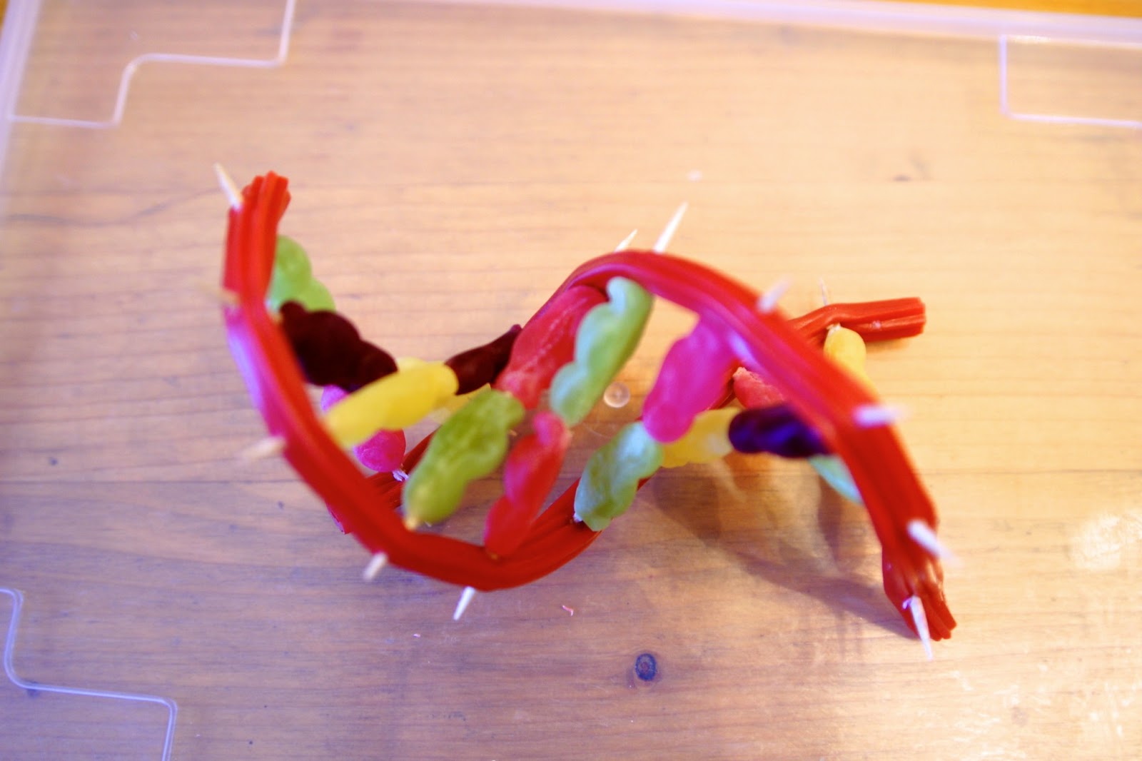 Try this at home: Number 26: Jelly Baby DNA