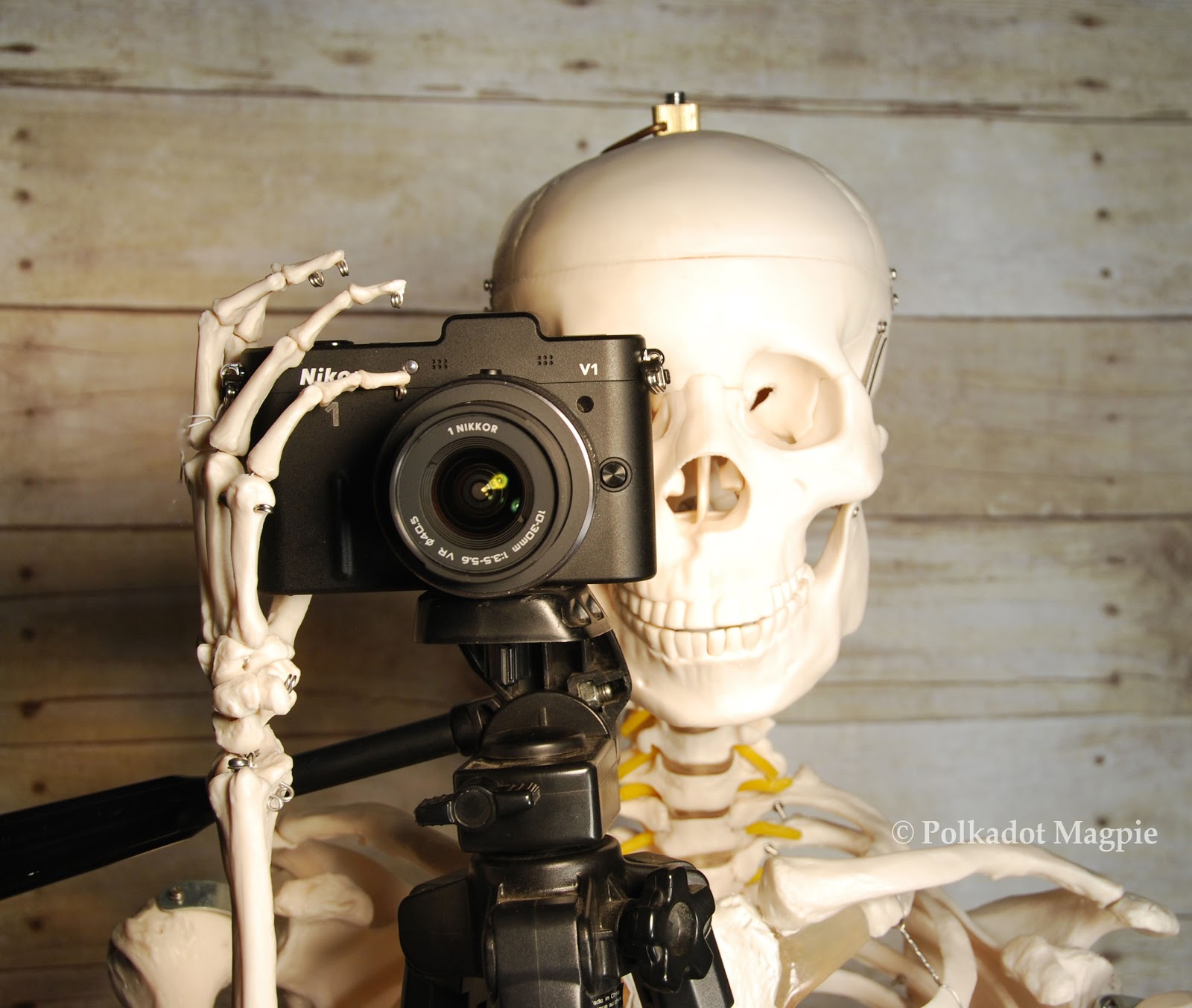 Make Something 365 & Get Unstuck: Sam 365 Skeleton