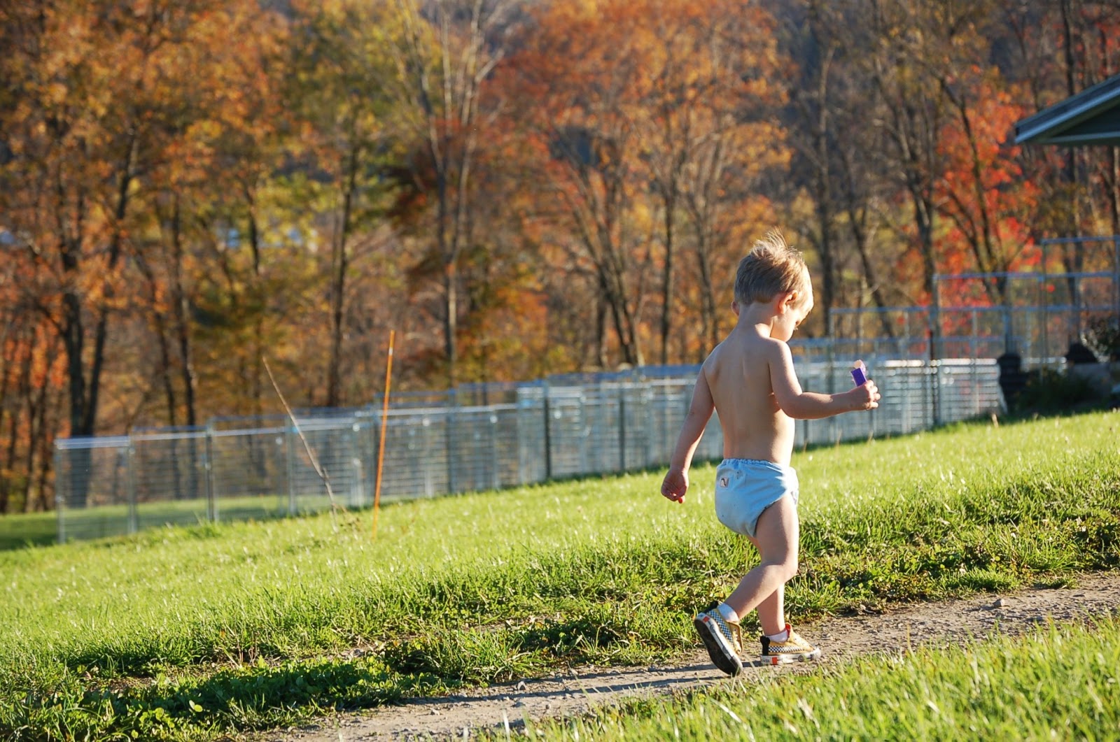 The Buddy Bee Makes Three: Buddy Bee is a 27 Month Bee