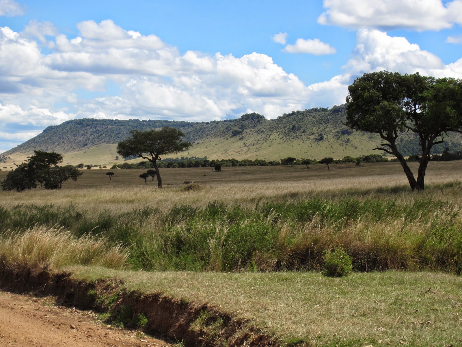 Souvenir Chronicles: AFRICA: OUR FIRST FORAY INTO THE MAASAI MARA ...