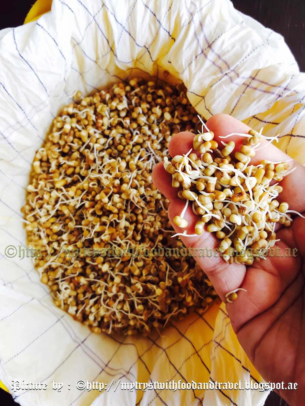 My Tryst With Food And Travel: Matki Chi Usal Recipe / Moth Bean ...