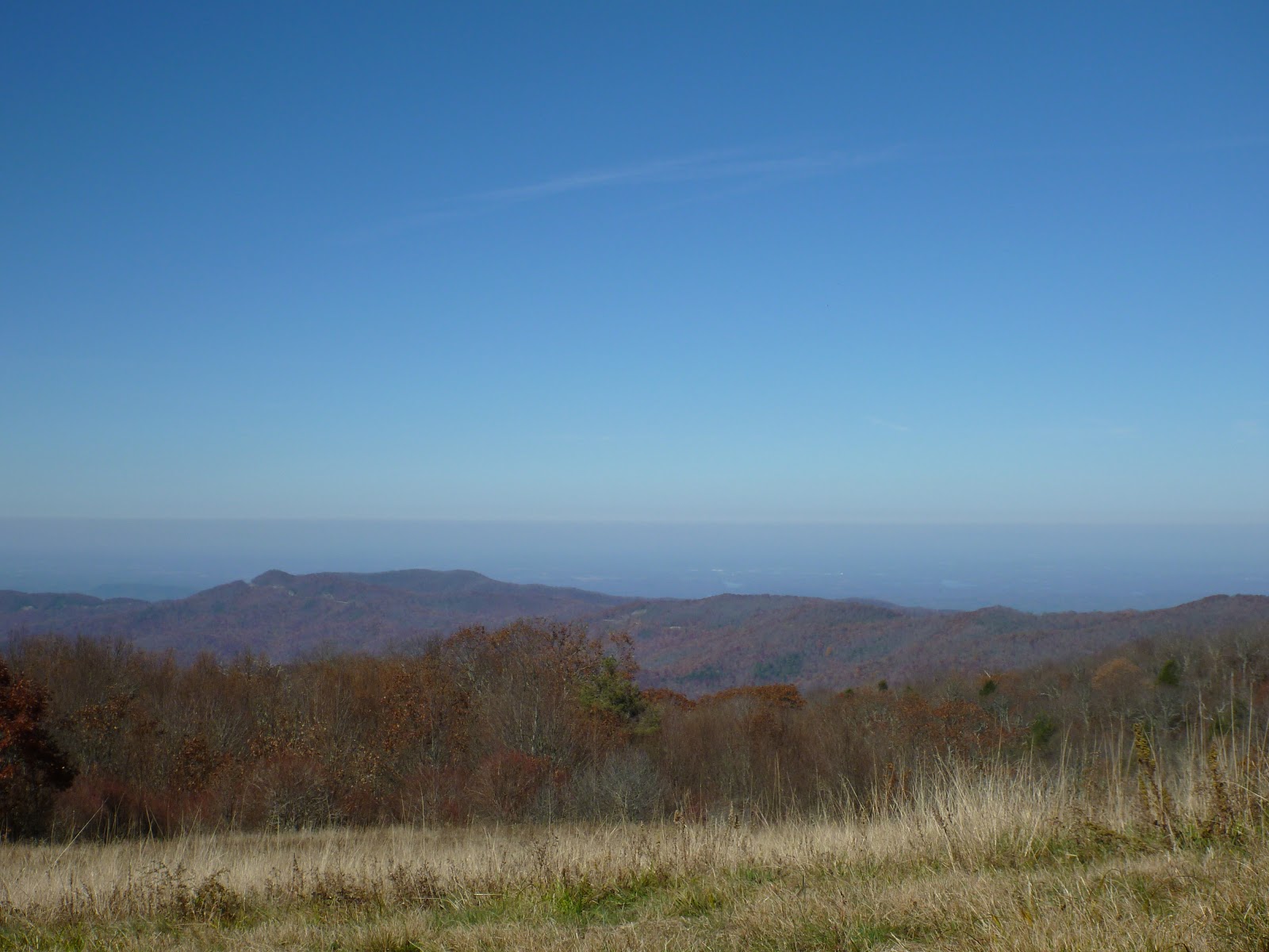 GSMNP - HIKER: Hike Up Mud Gap To Whigg Meadow Grassy Bald