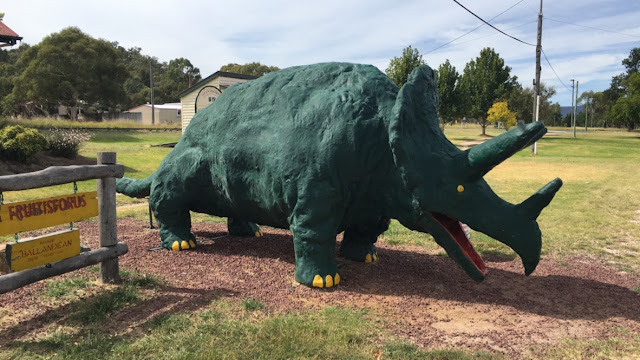 Style by LisaP : Stanthorpe Apple & Grape Festival