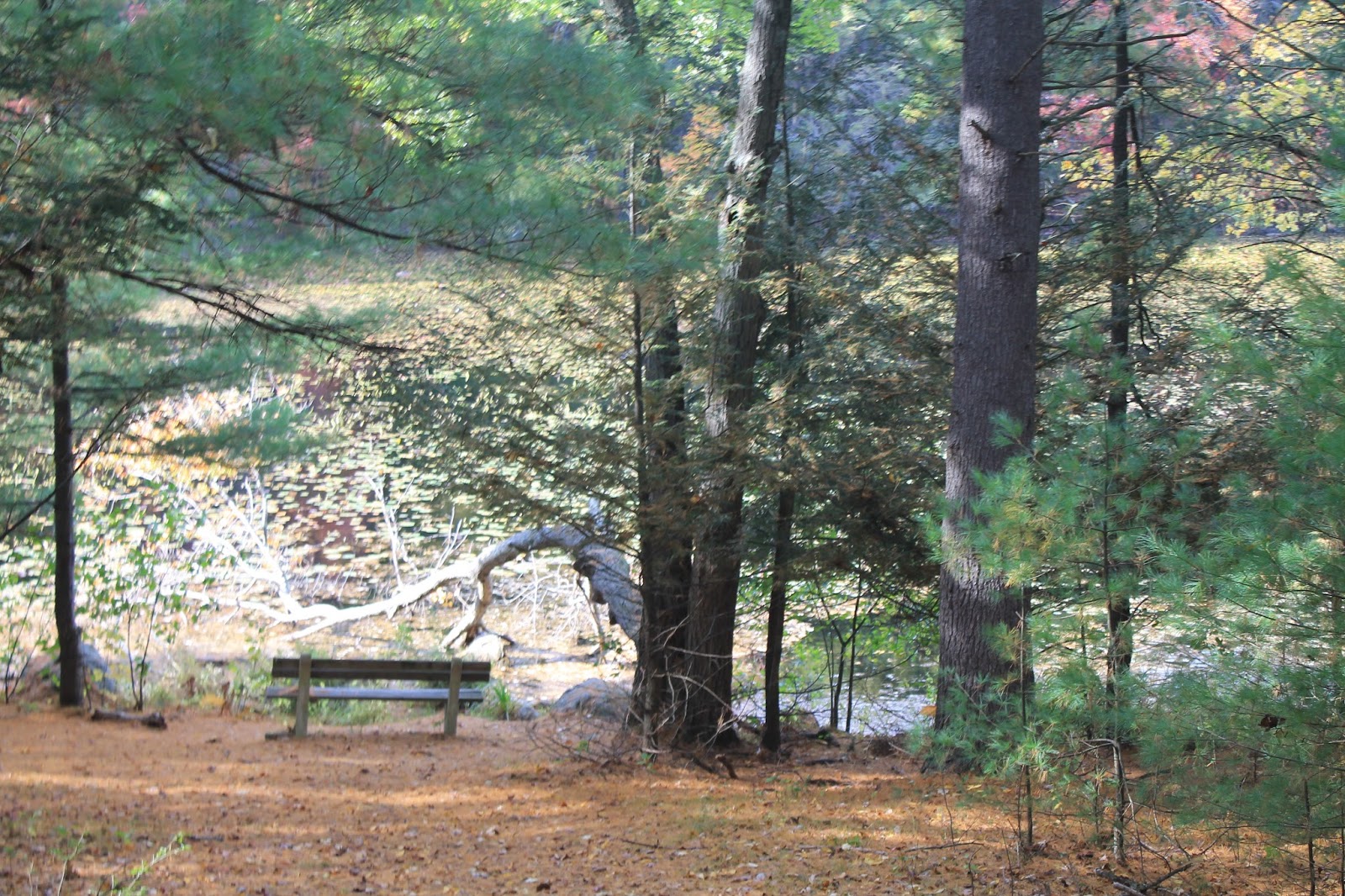 Bay Circuits: Bay Circuit Trail: Callahan State Park.