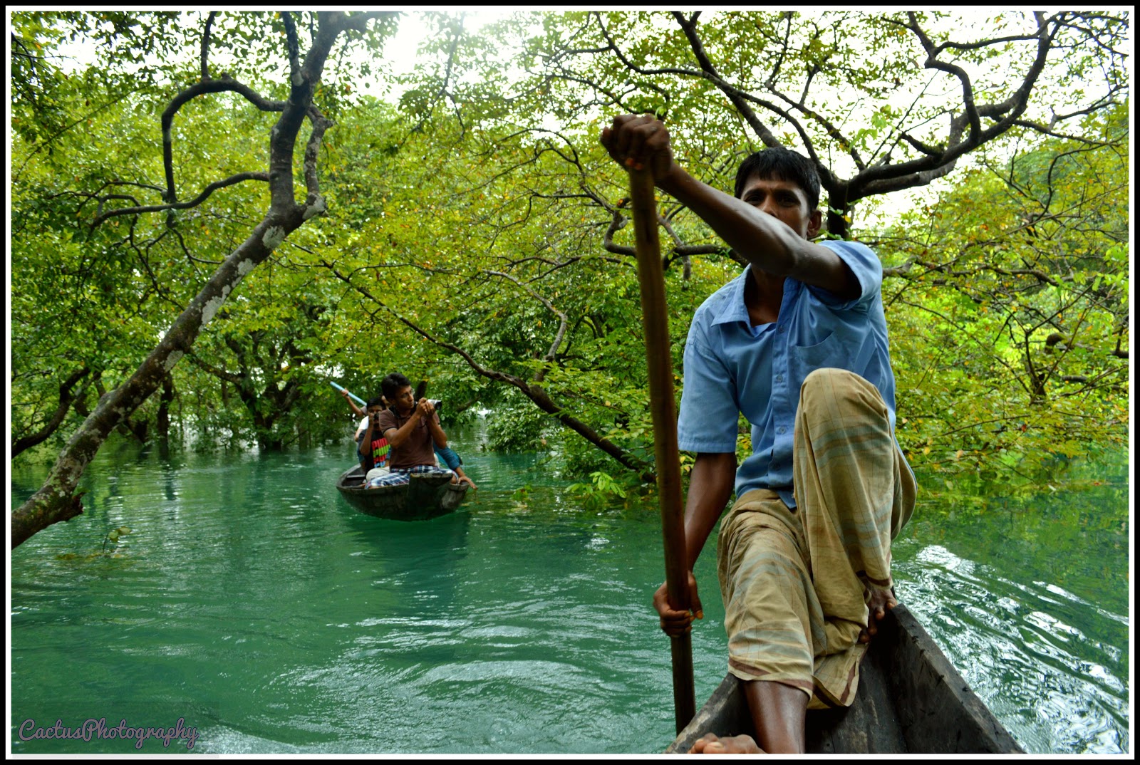 Dhaka to Ratargul Swamp Forest I Best Travel Guide | Trip Navigation ...