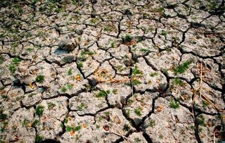 AGRICULTURE AND AGRICULTURAL INFORMATION: Saline Soils In Bangladesh