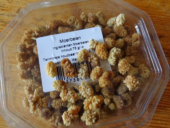 wilikditwel: Moerbeien