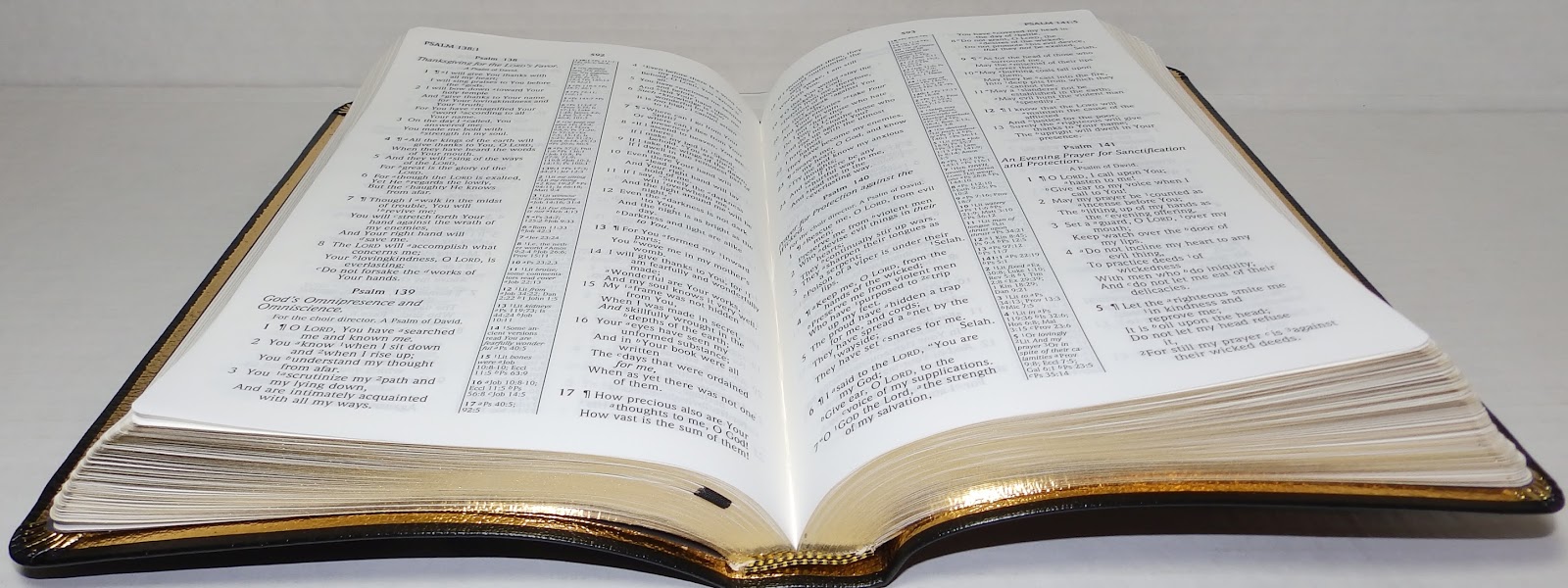 The Bible Hunter: Review: Zondervan NASB Classic Reference Bible