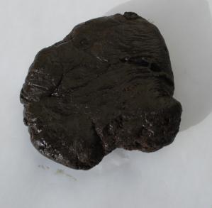 Λάβδανο ή Λάδανο ή Αλάδανος : Το Μύρο της Βίβλου .: Aλάδανος ή λάδανο ...