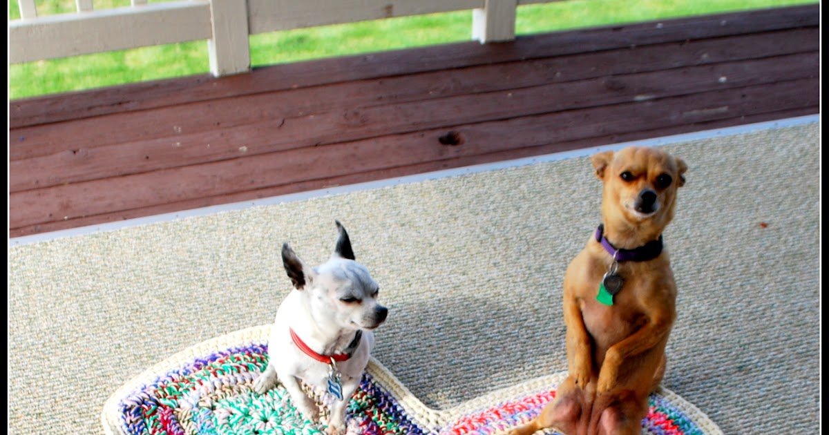 Posh Pooch Designs : Heart Shaped Dog Rug Free Crochet Pattern | Posh ...