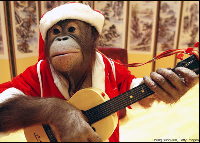 On A Rainy Night....: Christmas Monkey's