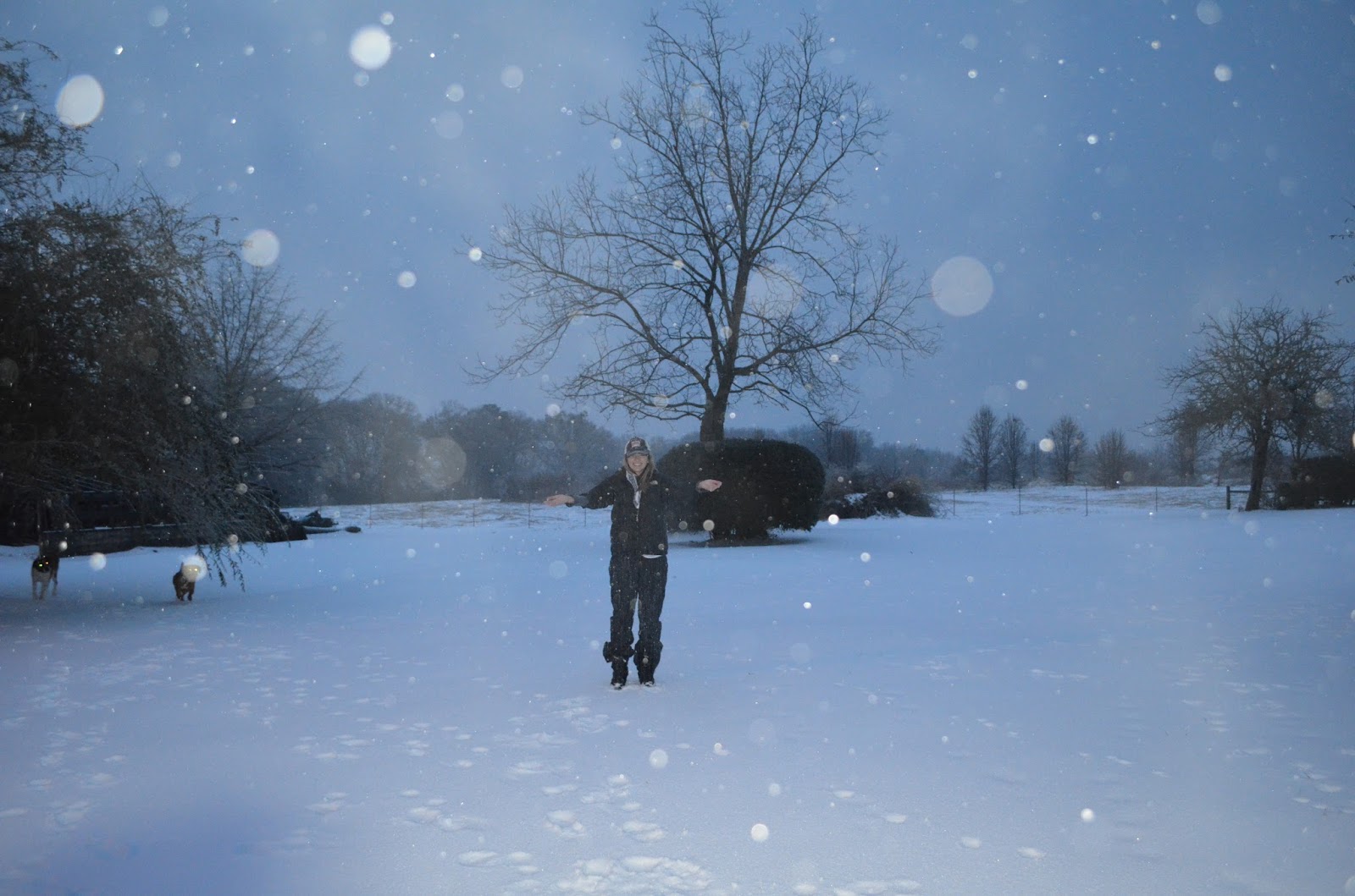 Baseball-Diamonds & Hairspray: Snowpocalypse Feb 2014