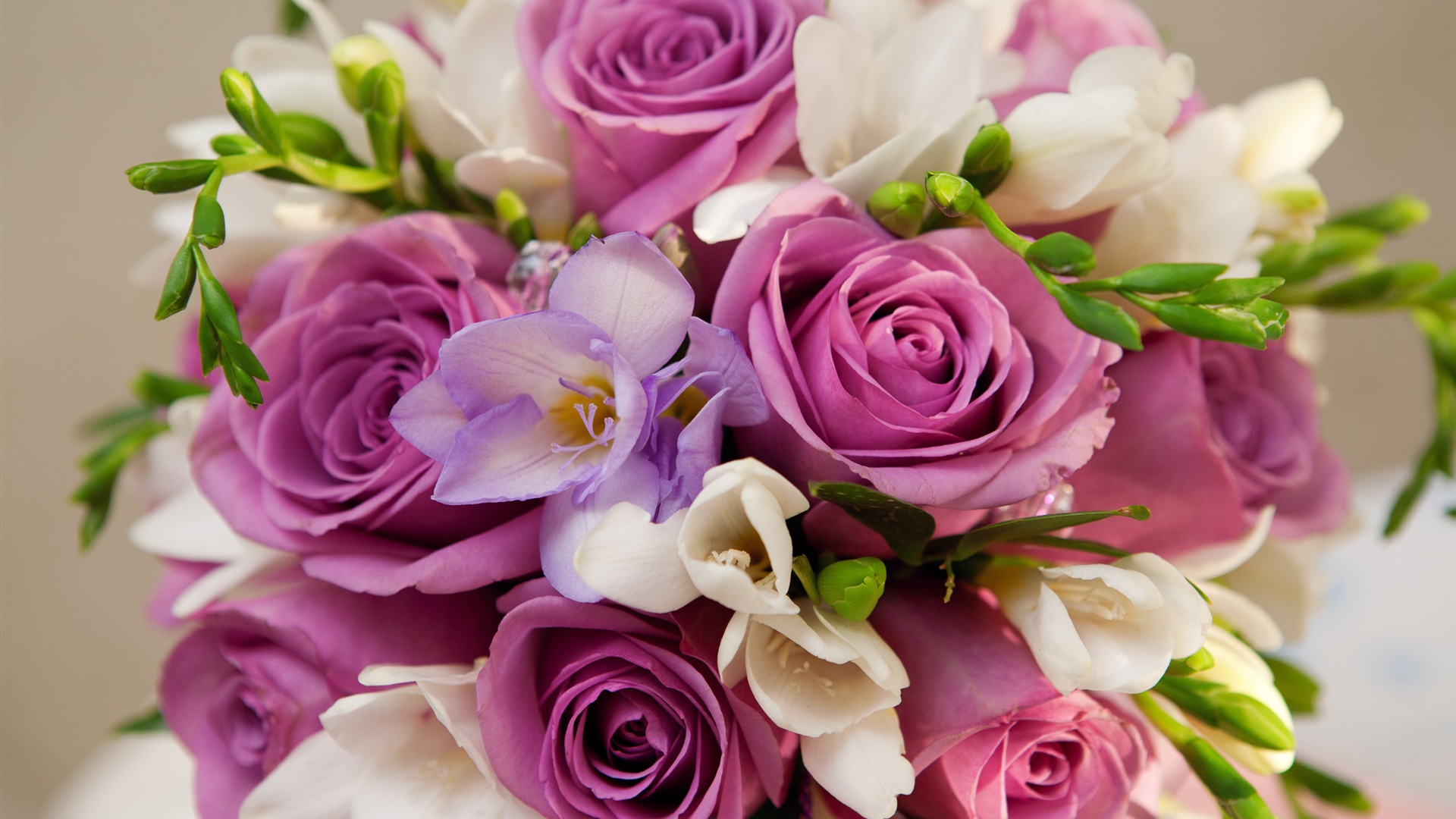 Violet Flowers Roses Bouquet - High Definition Wallpapers - HD wallpapers