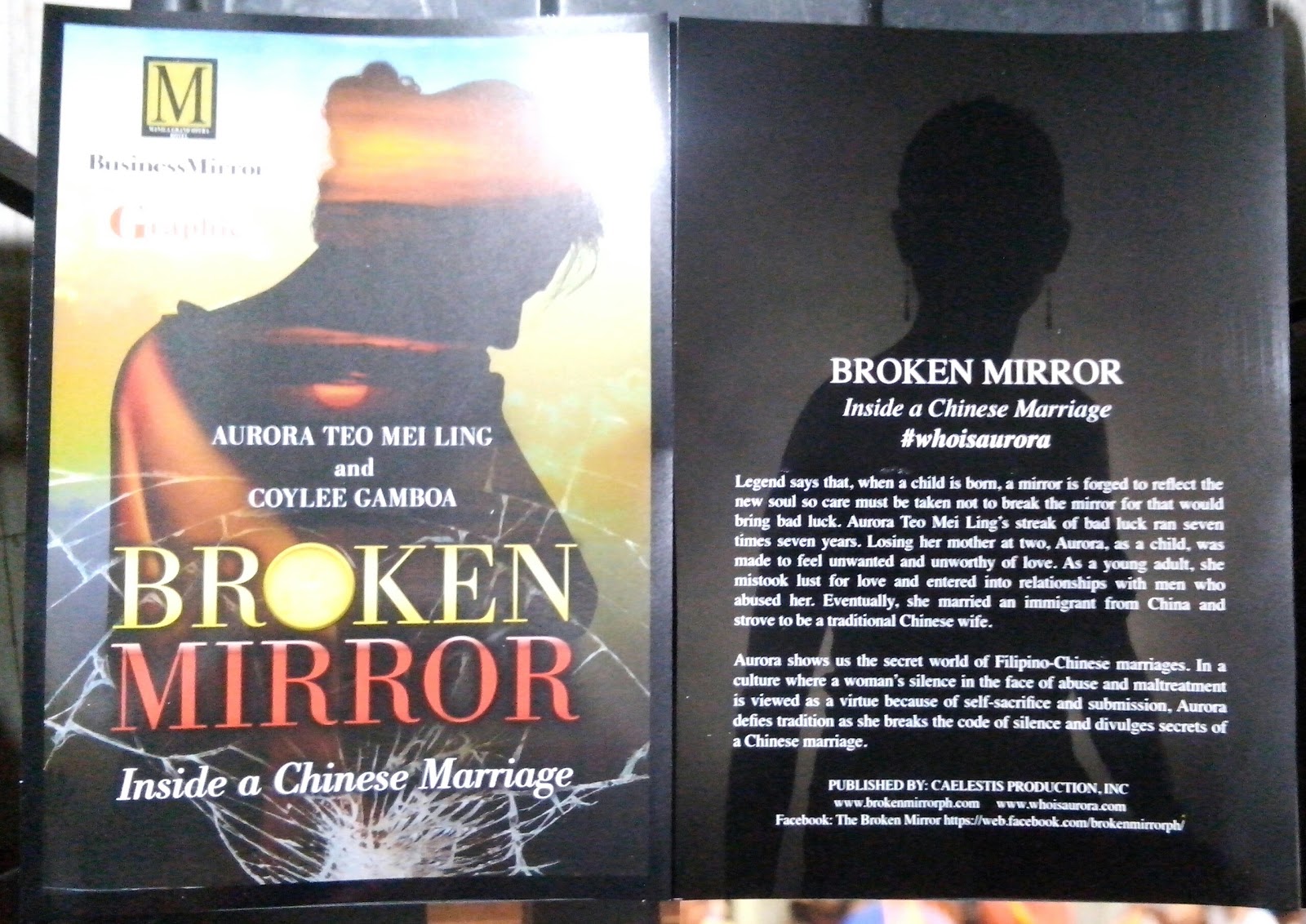 Broken Mirror Book Review