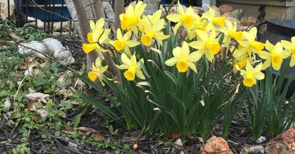 SPRING-ING | Simple and Serene Living