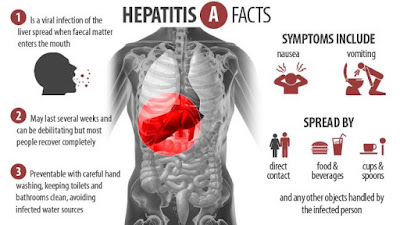 AFFECTIONAL PHARMACOPEIA: All About Hepatitis