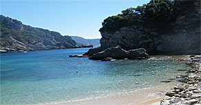 Cum să obţii un arbore de fistic din seminţe | Lumea Femeilor si a ...