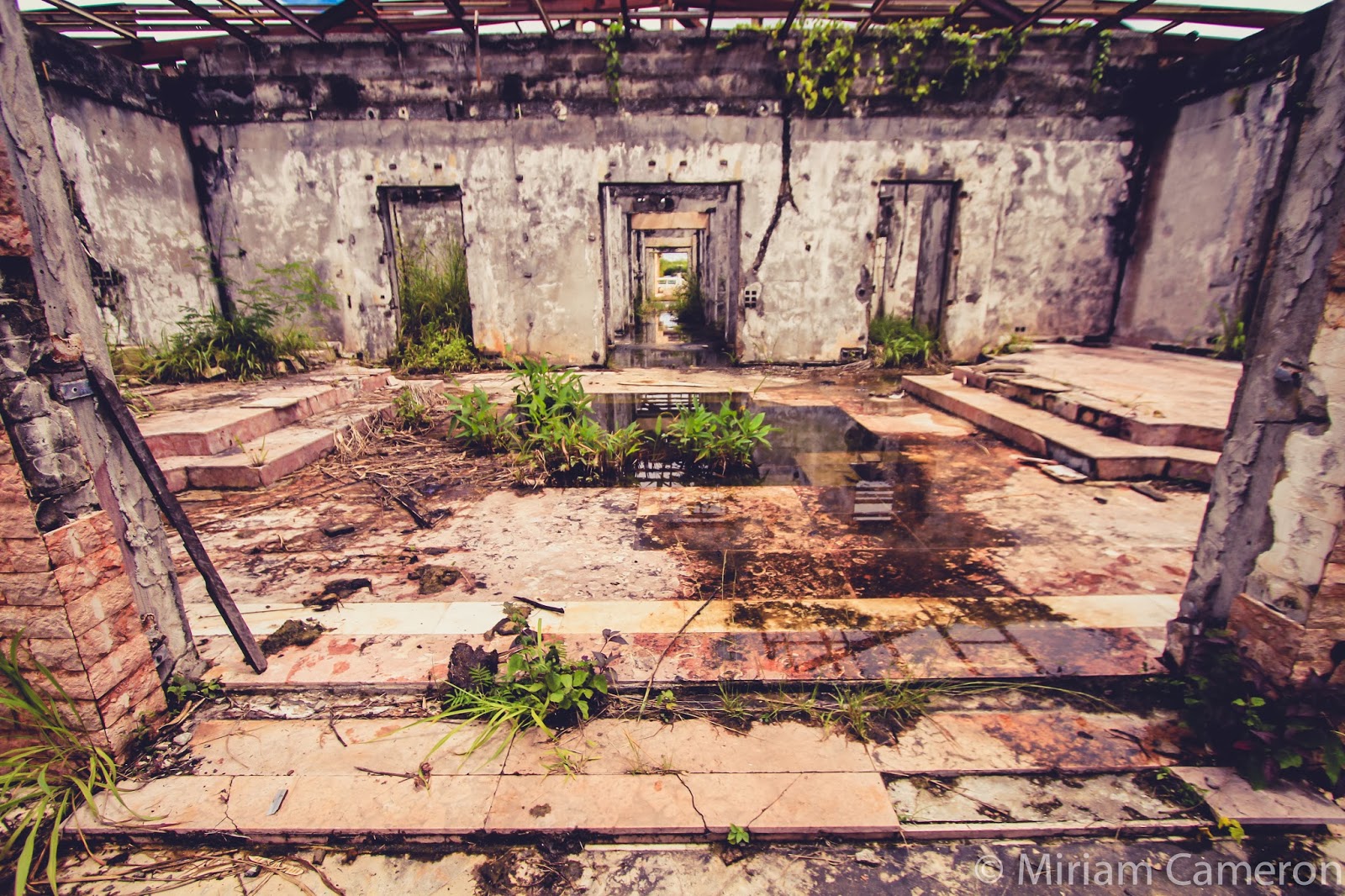 CamVision: Mobutu's Palace