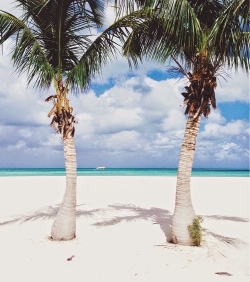 Victoria Craven: Aquarius Full Moon : Beach Dream Board