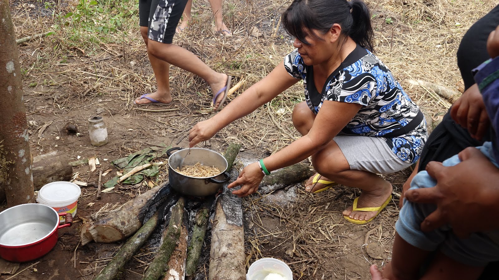 Centro de Memória e Cultura Kahngág: COMIDAS TÍPICAS KAINGANG