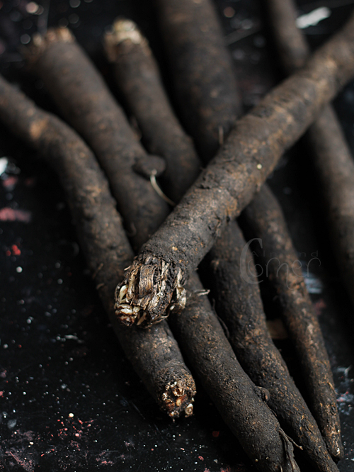 Almond Corner: Prawn Ravoli with Parsley-Salsify Puree and Blood Orange