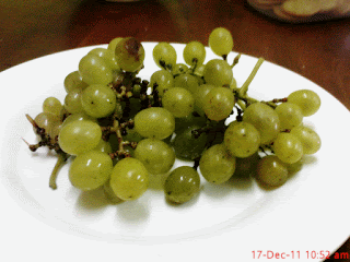 Berbudi Pada Tanah: July 2011