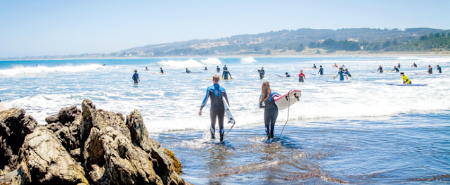 Travel In Chile (Arica, Antofagasta, La Serena, Santiago de Chile y más ...