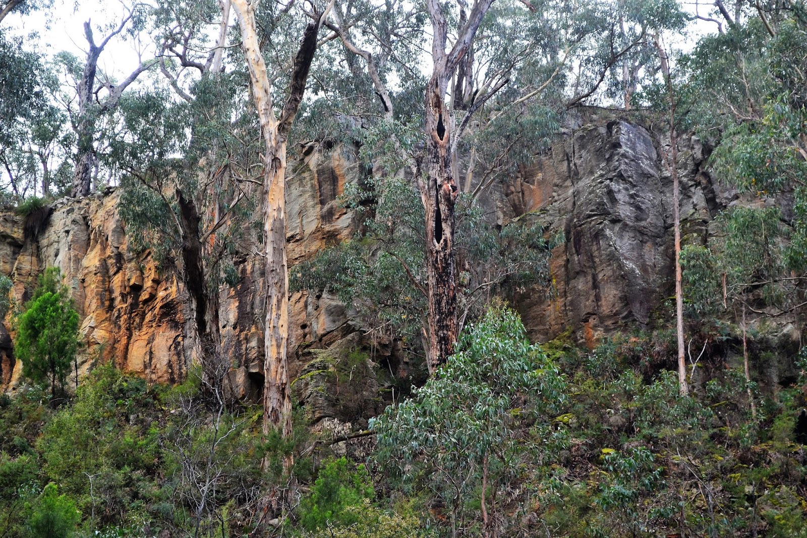 Goin' Feral One Day At A Time: Ironbark Gorge & Currawong Falls, Great ...