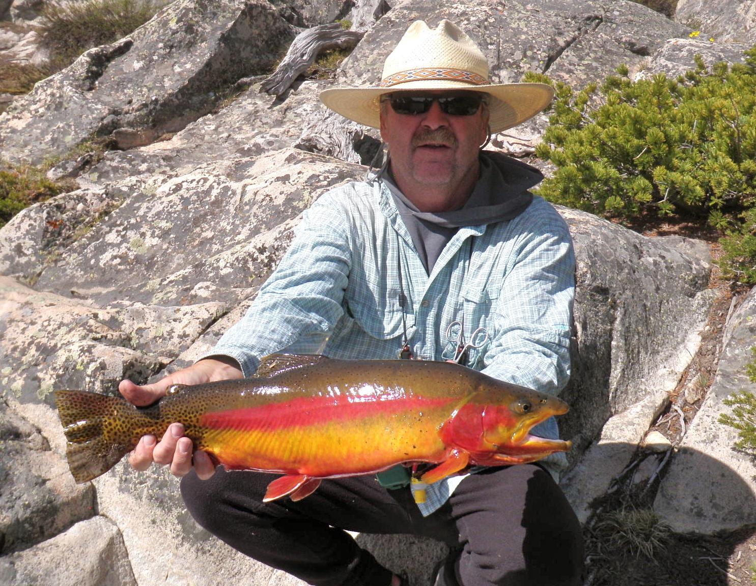 International Fishing News: IGFA Hot Catches August 2012