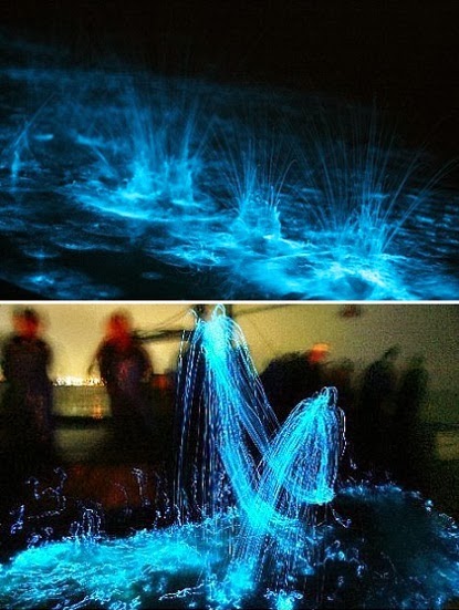 Glowing Beach In Japan
