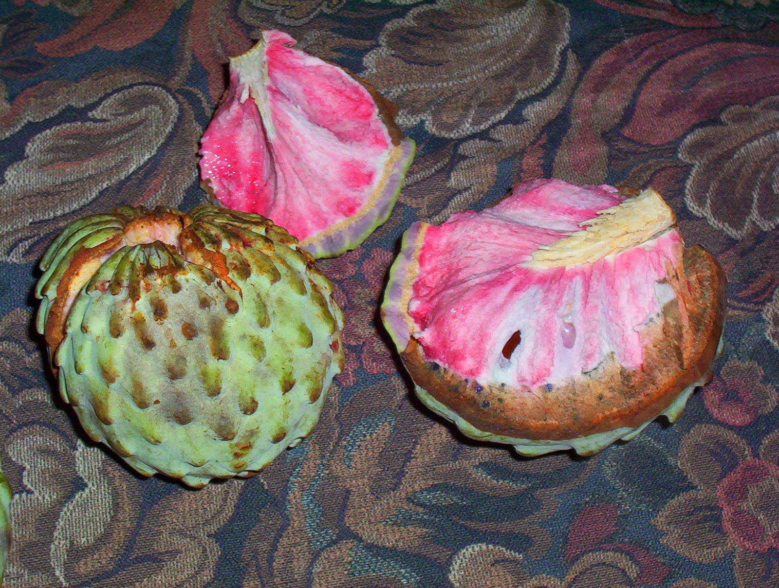 Not all who wander are lost: 11/01/2013 - 12/01/2013